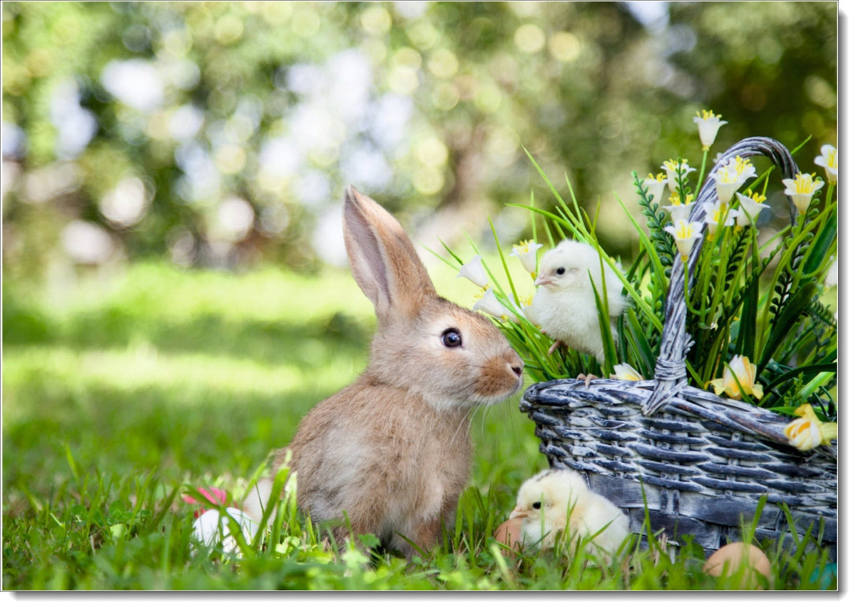 Easter Card Bunny with Chick – doodlecards