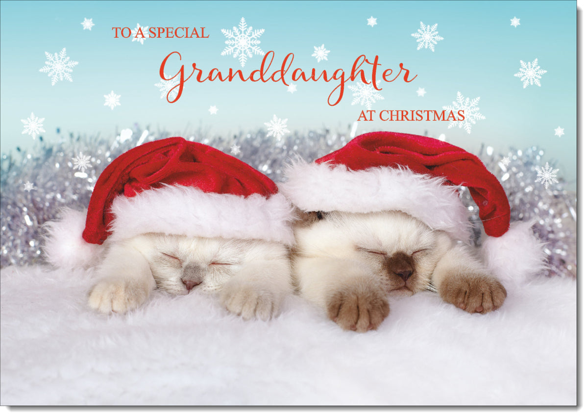 Granddaughter Christmas Card Ragdoll Kittens in Santa Hats – doodlecards