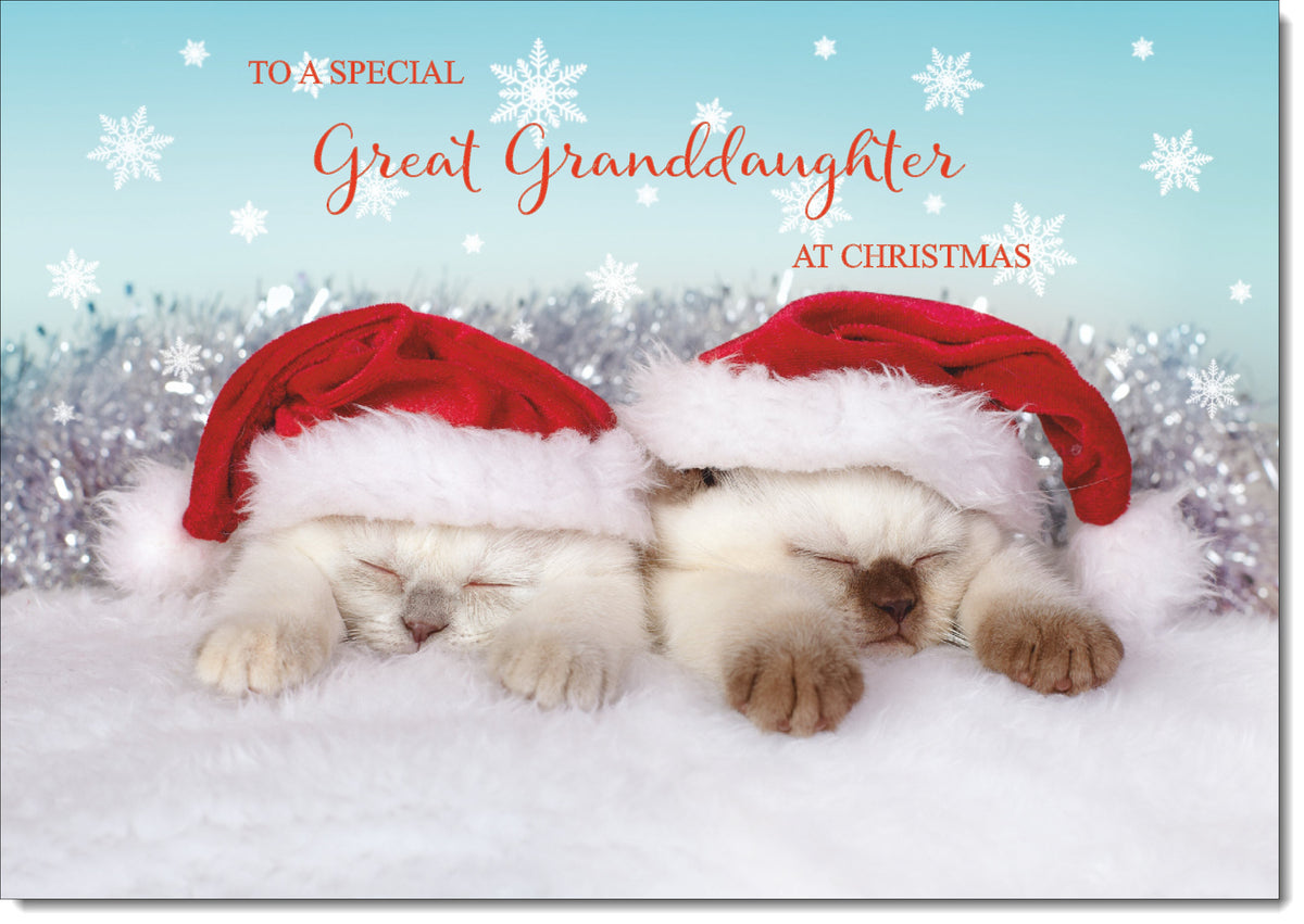 Great Granddaughter Christmas Card Ragdoll Kittens in Santa Hats ...