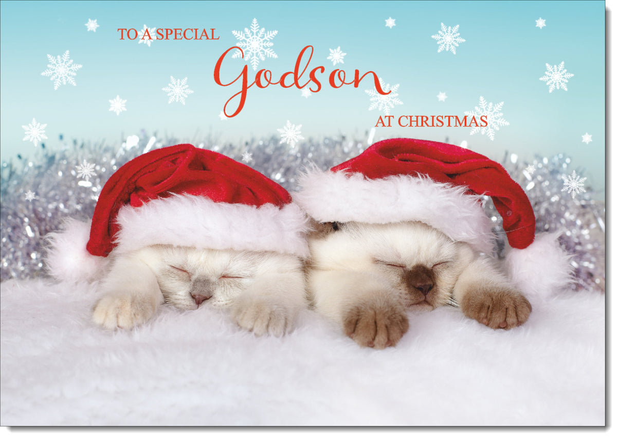 Godson Christmas Card Ragdoll Kittens in Santa Hats – doodlecards