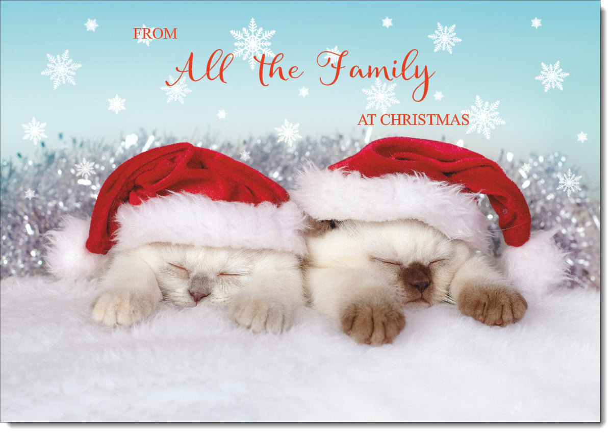 From All The Family Christmas Card Ragdoll Kittens in Santa Hats ...