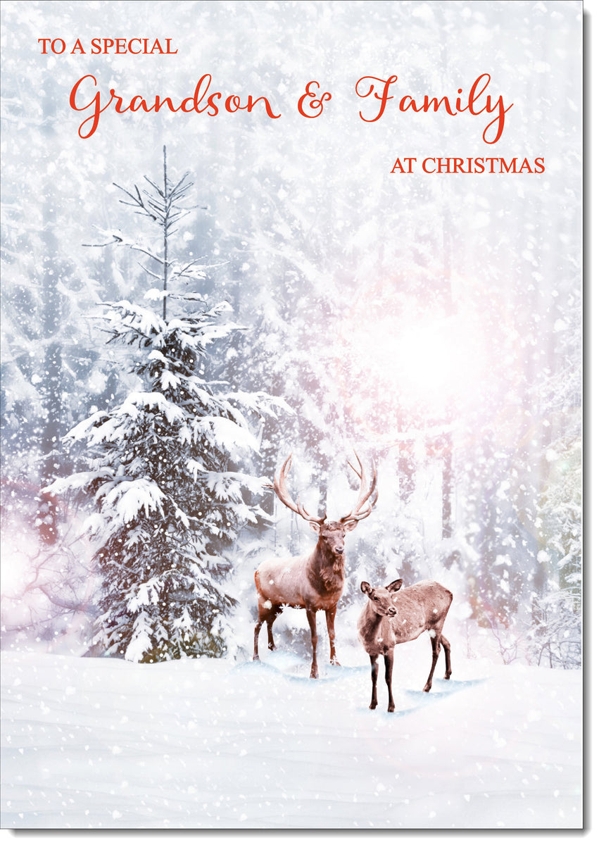 Grandson & Family Christmas Card Stag and Doe in Snowy Forest – doodlecards
