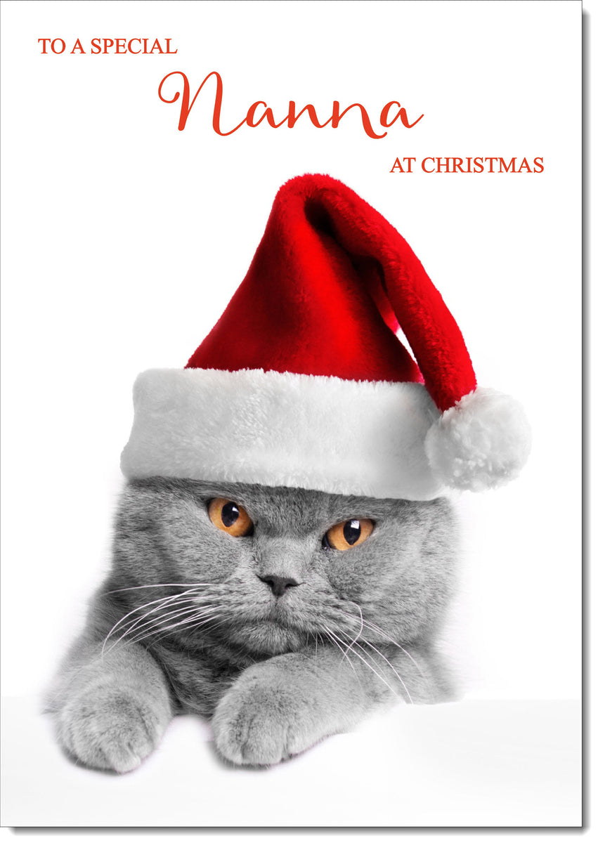 Nanna Christmas Card Grey Cat with Santa Hat – doodlecards