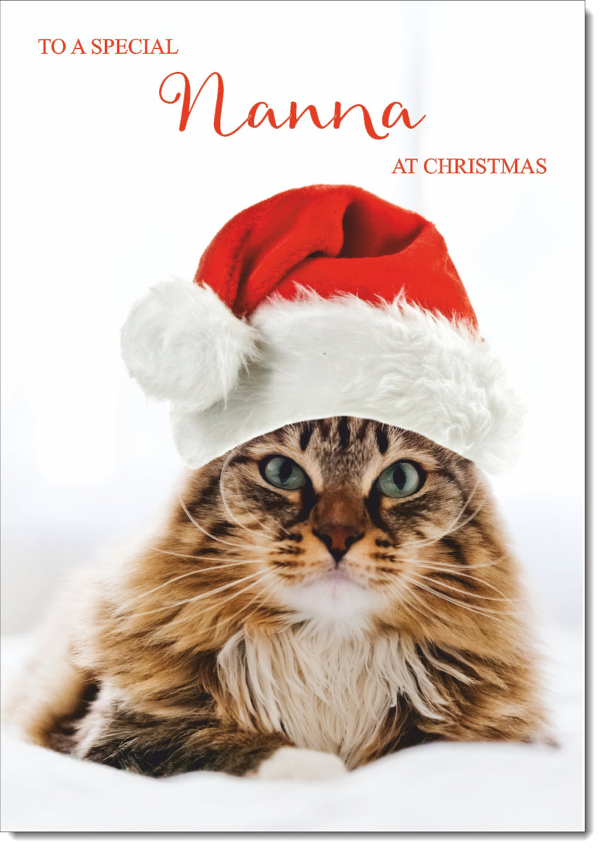 Nanna Christmas Card Cat with Santa Hat – doodlecards