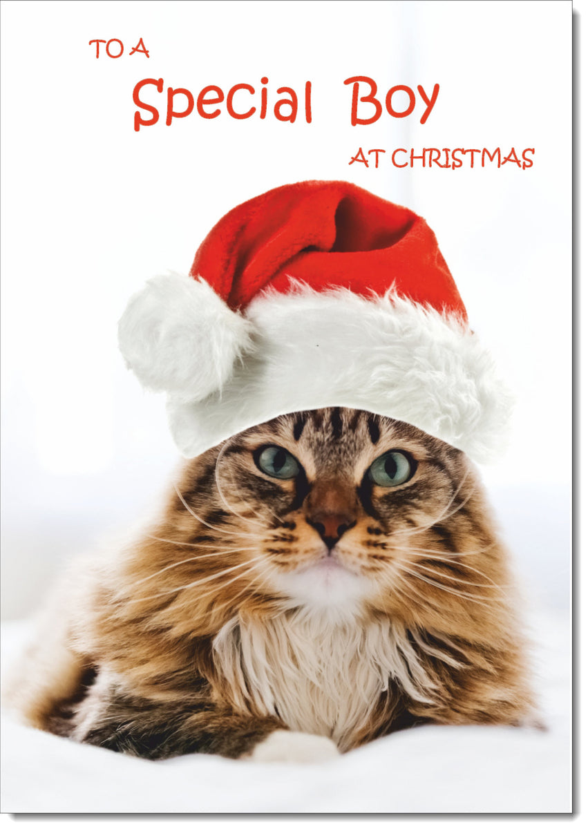 Special Boy Christmas Card Cat with Santa Hat – doodlecards