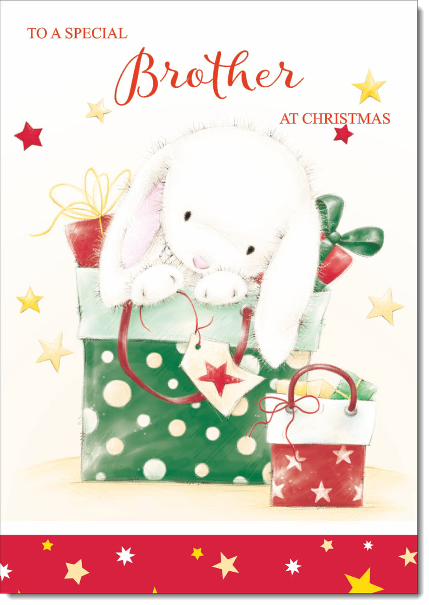Brother Christmas Card Cute Rabbit with Parcels – doodlecards