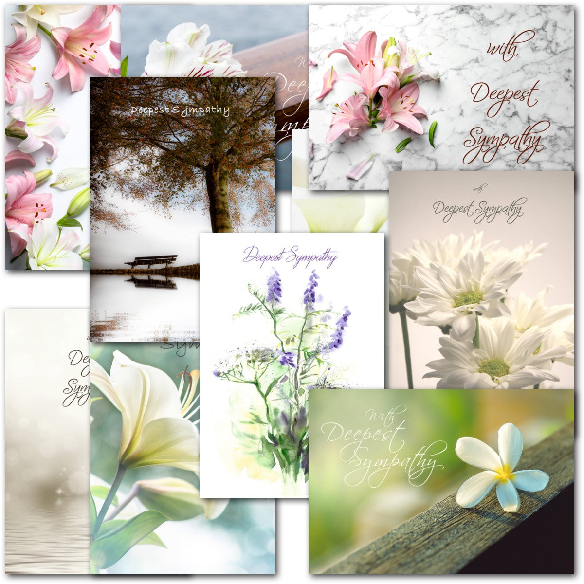 Pack of 10 Sympathy, Bereavement, Condolence, Loss of, Thinking of You ...