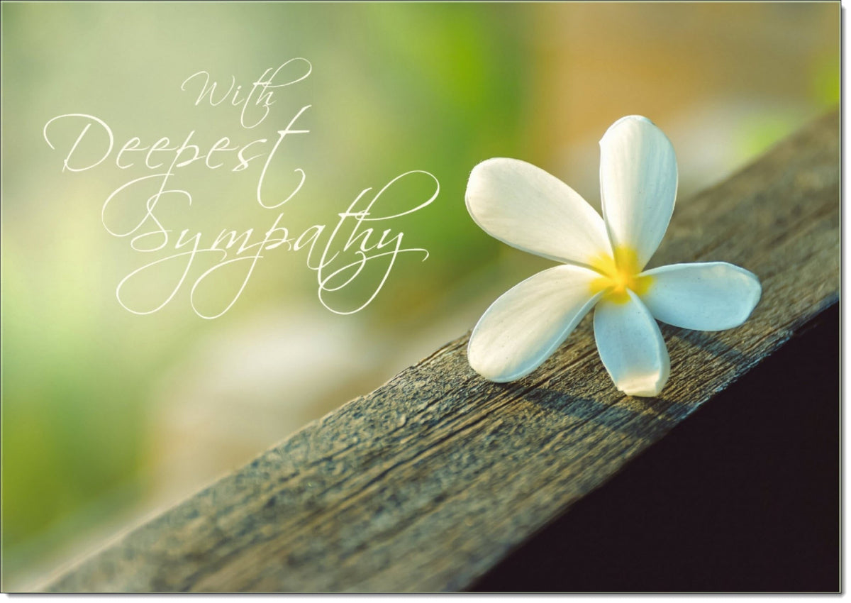 Sympathy Condolence Bereavement Card White Daisy – doodlecards