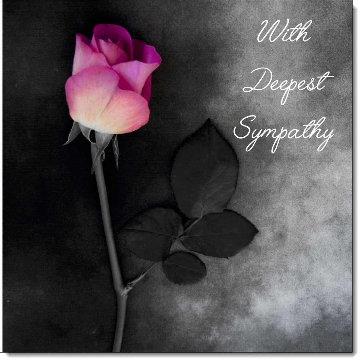 Sympathy Condolence Bereavement Card Pink Rose – doodlecards