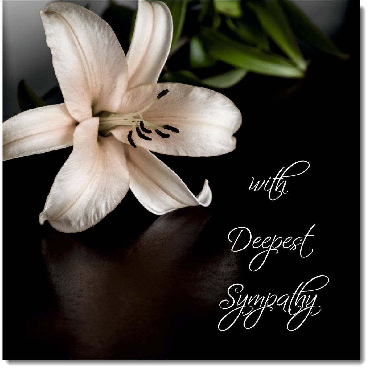 Sympathy Condolence Bereavement Card White Lily – doodlecards