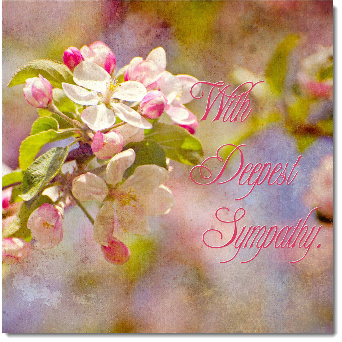 Sympathy Condolence Bereavement Card Blossom – doodlecards