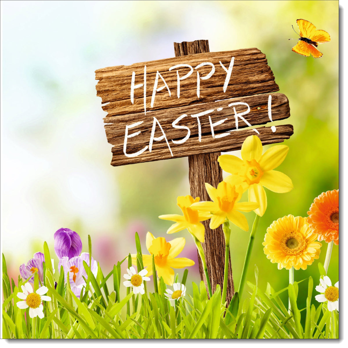 Pack of 10 Easter Cards Happy Easter Sign – doodlecards