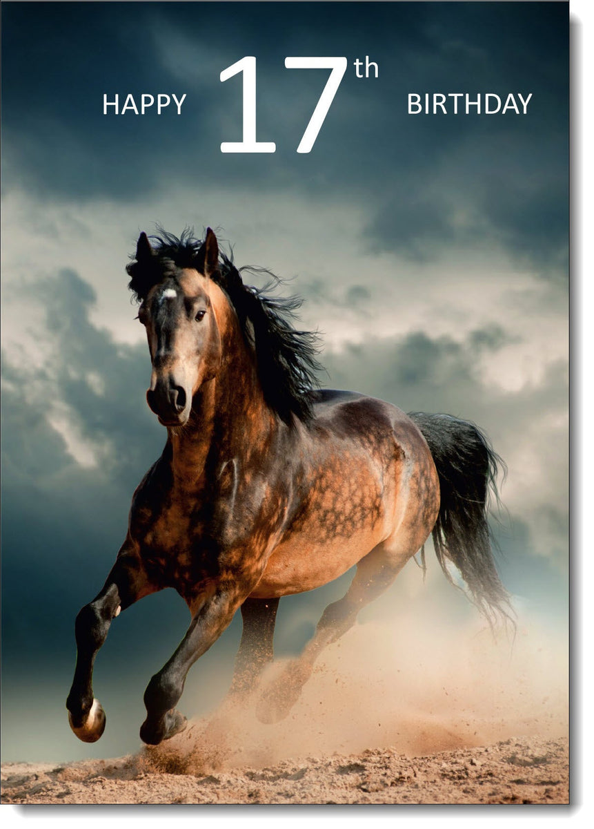17th Birthday Card Age 17 for Him Wild Stallion – doodlecards