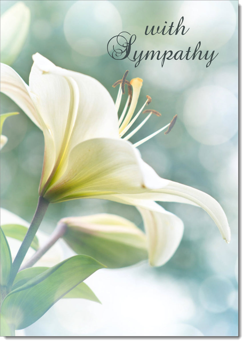 Sympathy Condolence Bereavement Card White Lily – doodlecards