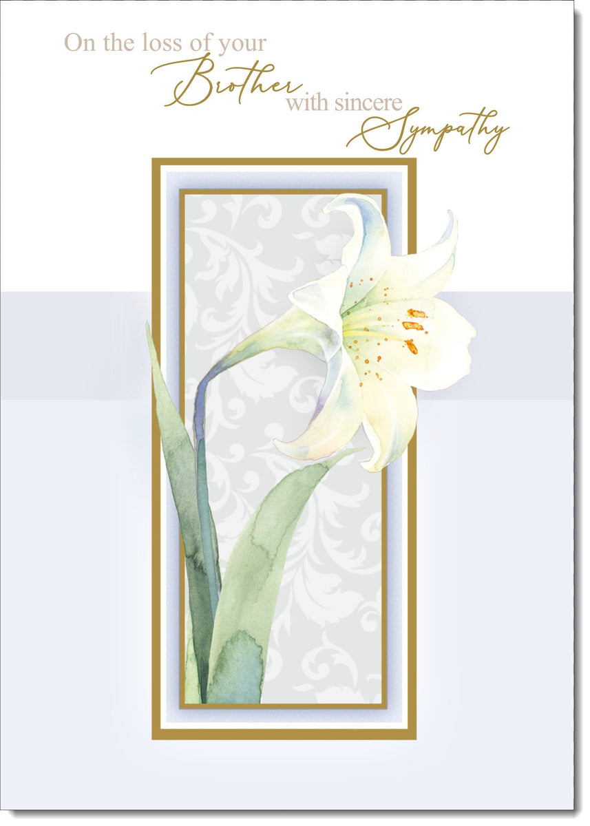 Loss Of Brother Sympathy Condolence Bereavement Card White Lily ...