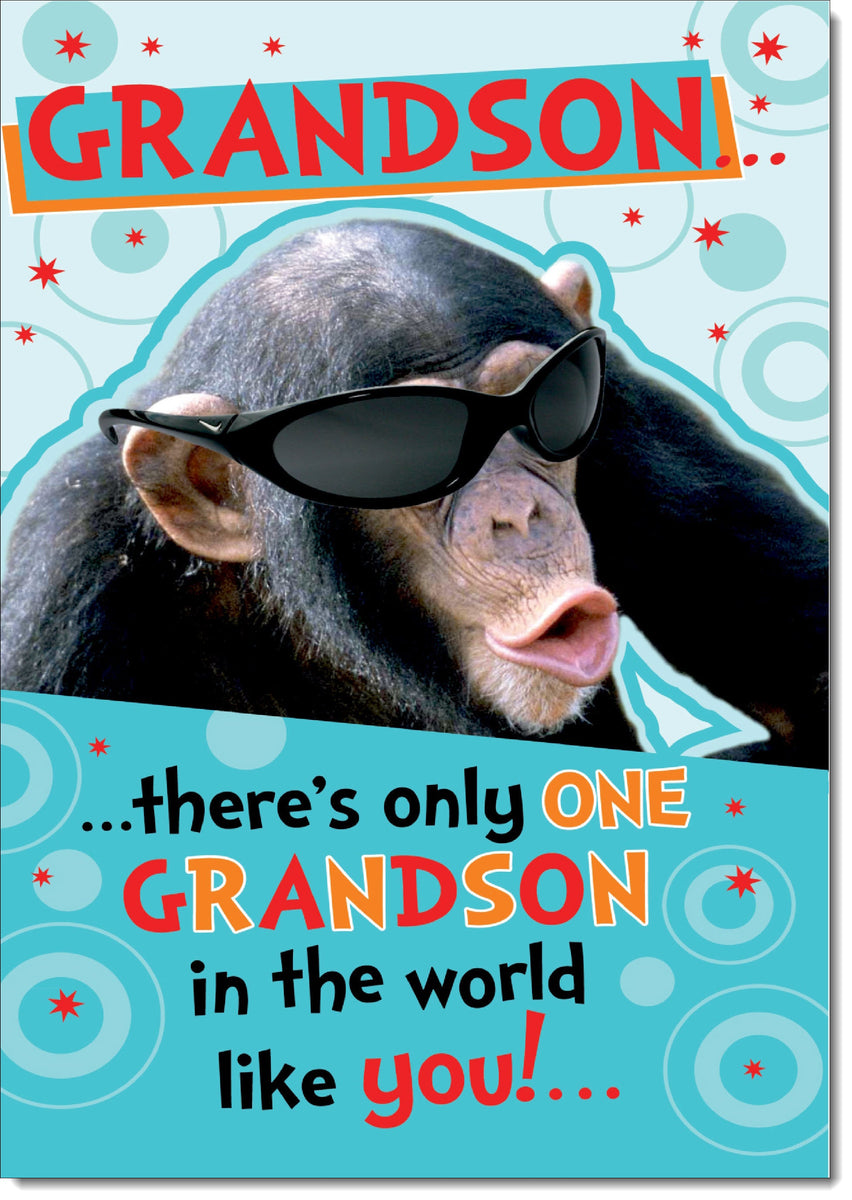 Grandson Birthday Card Funny – doodlecards